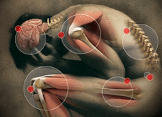 Fibromyalgia, Pain & Grounding / Earthing – Prasanna Health